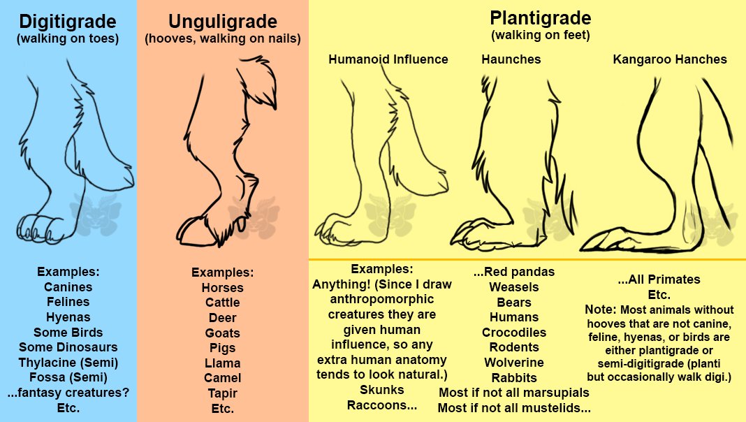 I really want to talk about bears and dogmen. : r/dogman