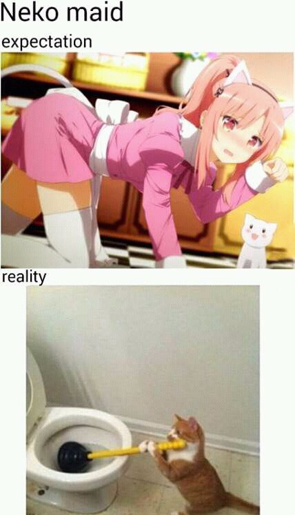 Mathcode Mathcode Twitter 7106