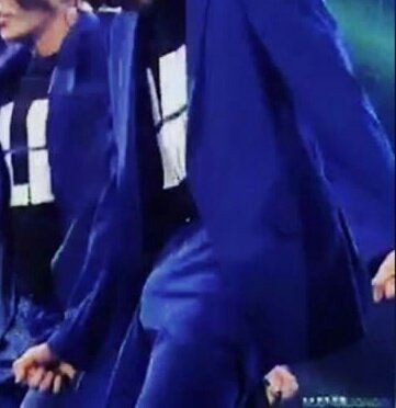 Exo Bulge