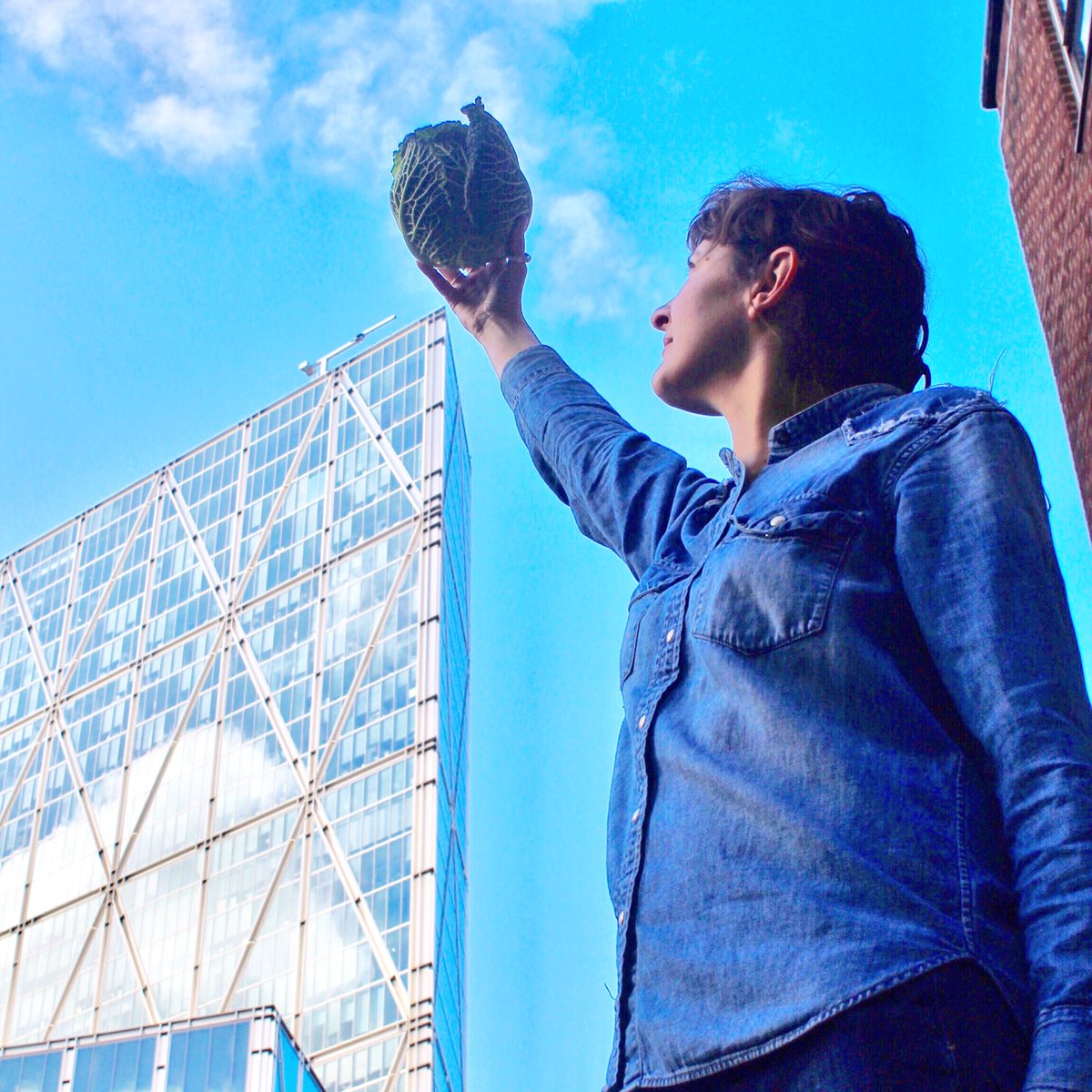 Rogue Matters (@RogueMatters) | Twitter