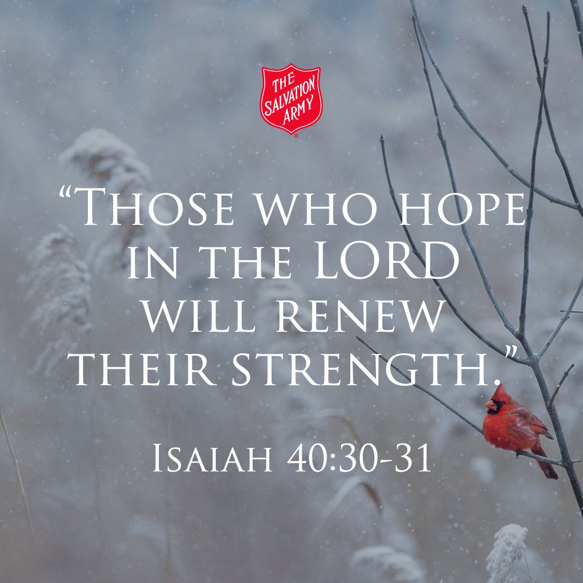 "even youths grow tired & weary, & young men stumble & fall; but those ...