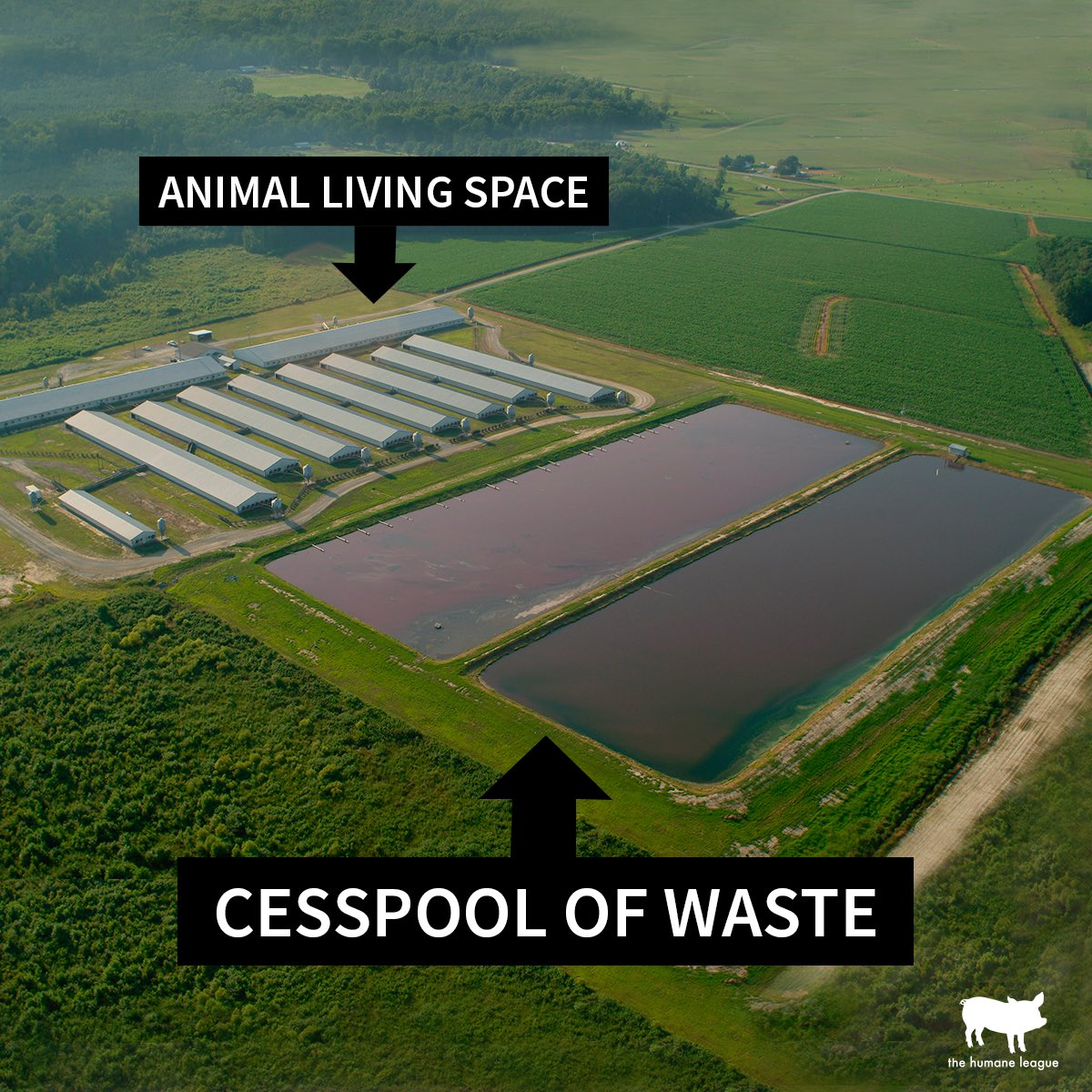 Factory Farm Waste