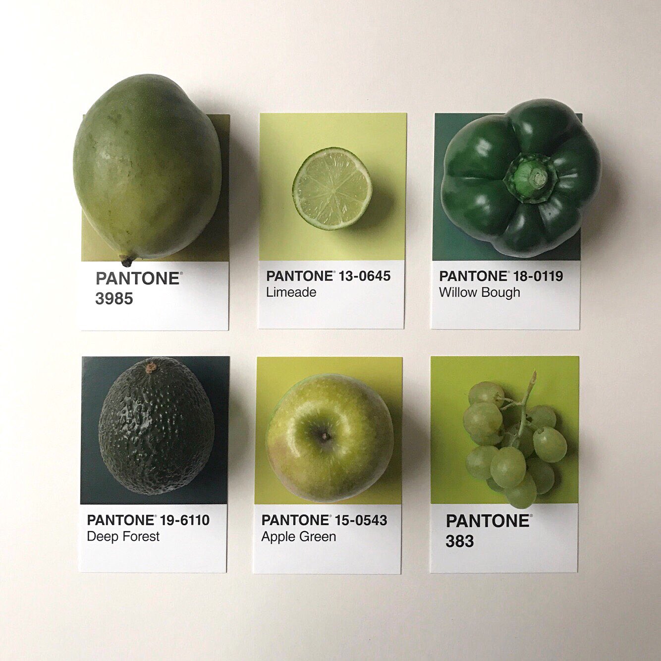 Forest Green Pantone Colors