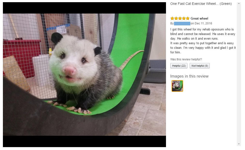 Zeke Schmois (@ZSchmois) | Twitter