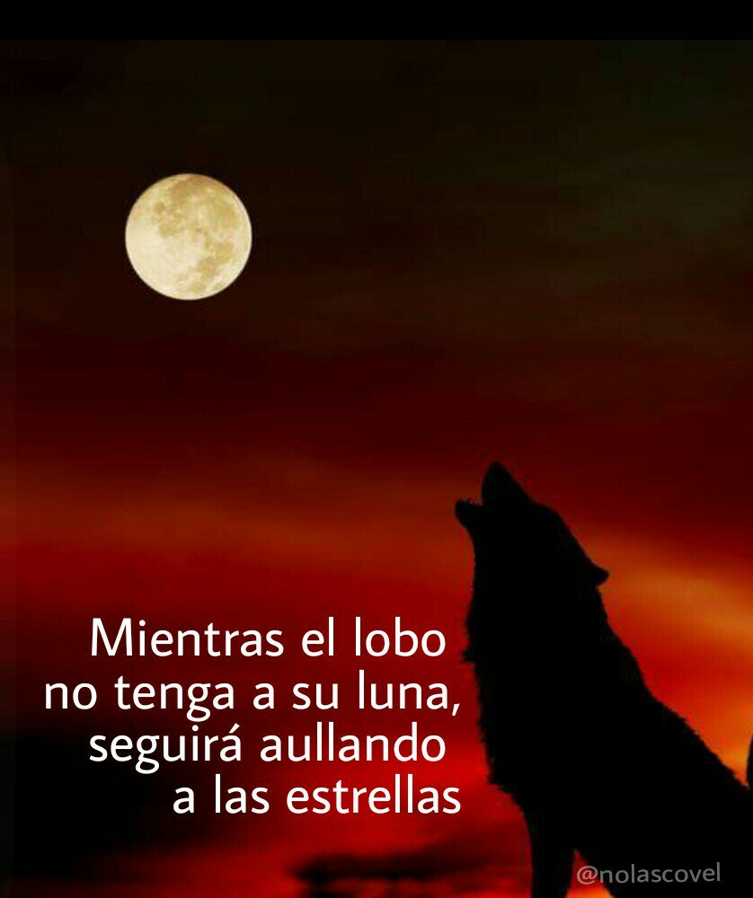 manguera compartir Oxido frases de lobos aullando a la luna marea No ...