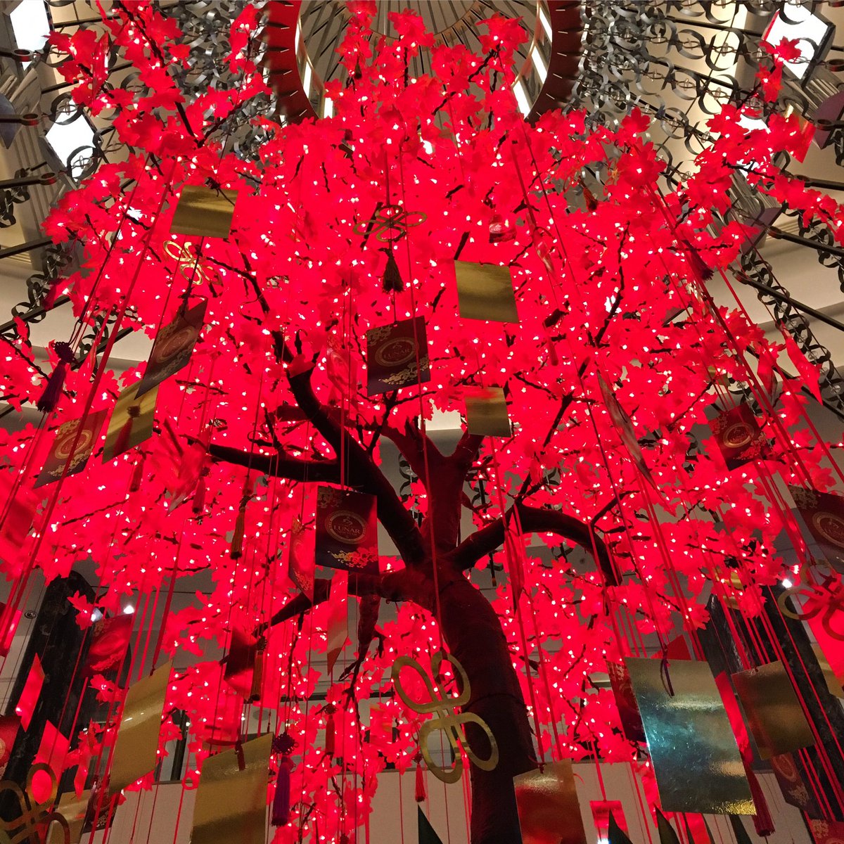 Chinese New Year Money Tree