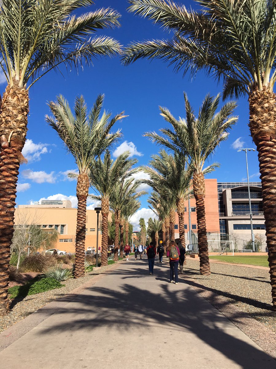 Arizona State University Campus Palm Walk