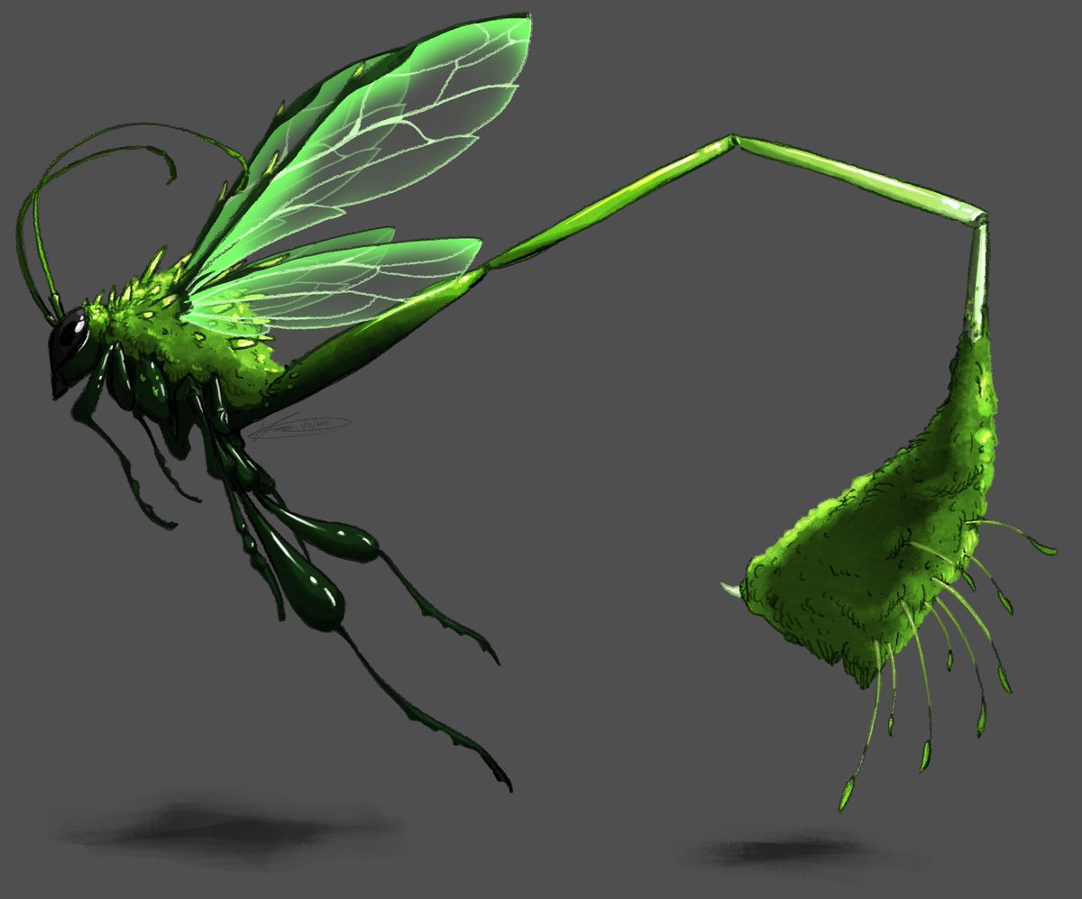 Winged Bug Monster