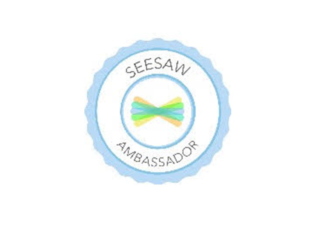Seesaw ambassador store