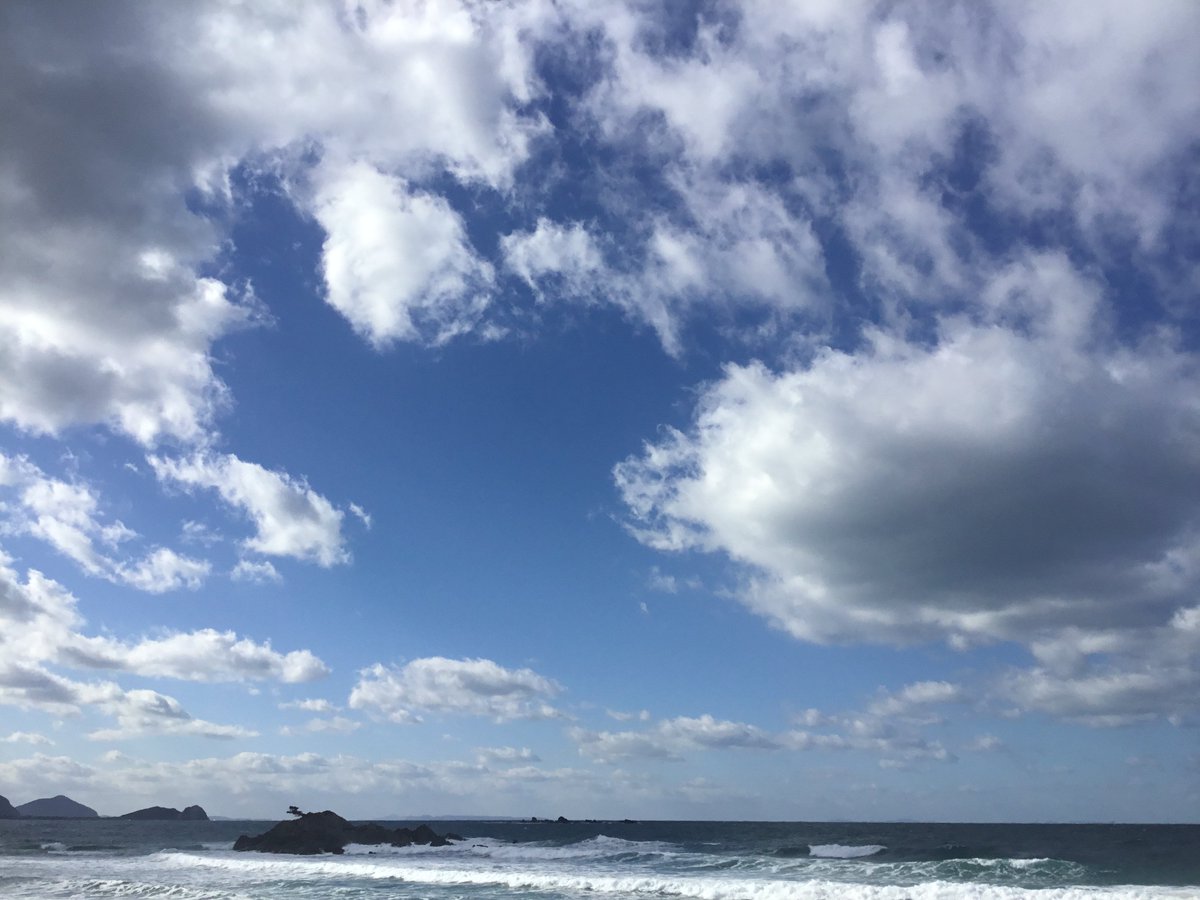 Yusuke Hayashi (@Yusukehayashi_) | Twitter