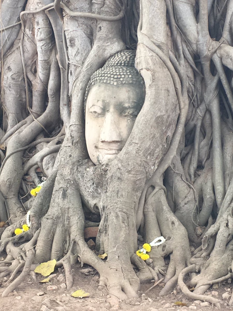 Sandy Prentice (@IntSandy) | Twitter