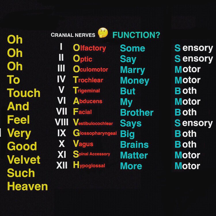 Cranial Nerves List