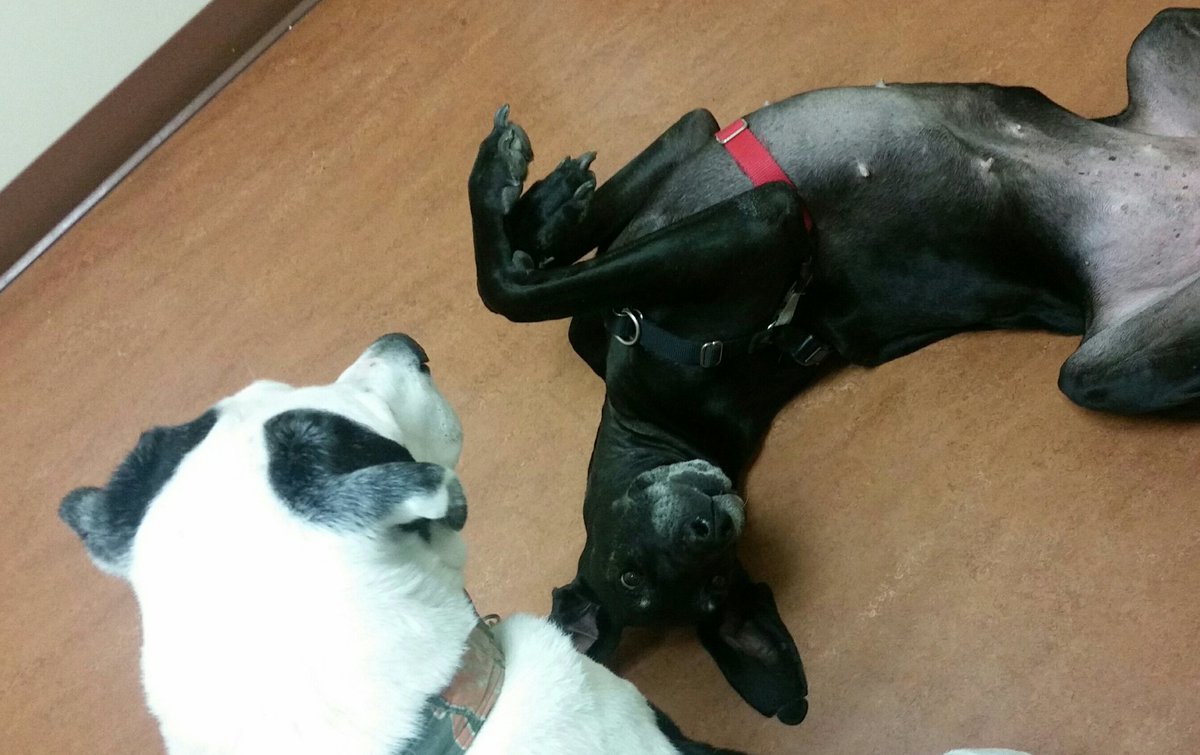 Tim holmberg (@TimothyHolmberg) | Twitter