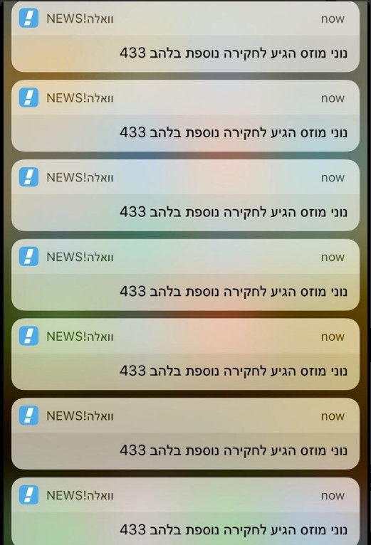 maayan sarig (@sarig_maayan) | Twitter