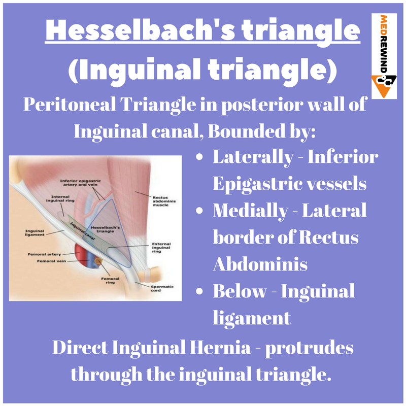 Inguinal Canal Borders Mnemonic