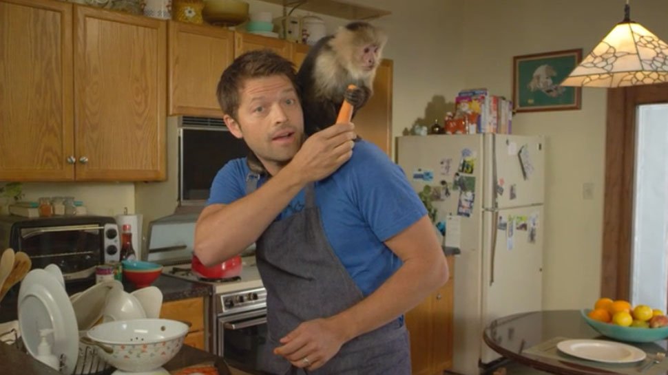 Misha Collins Son Cooking