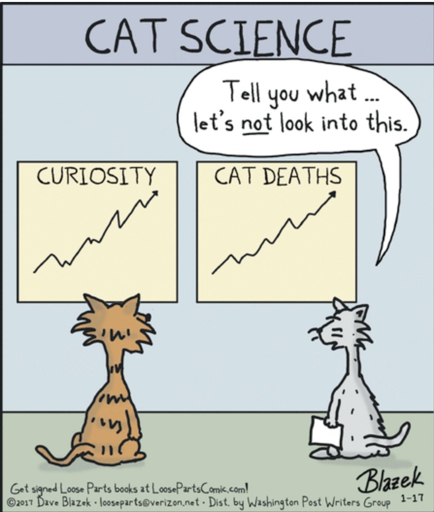 Science Humor Cat