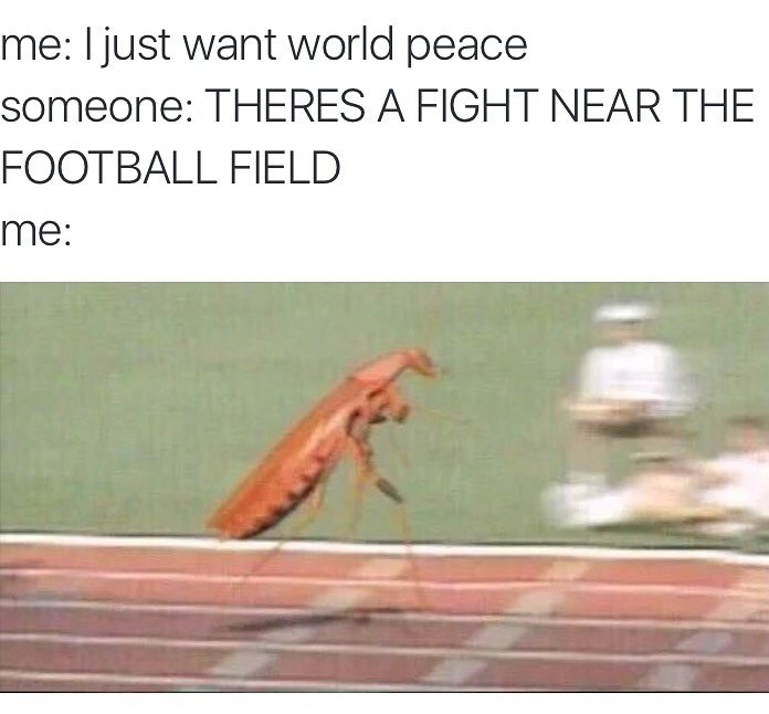 Fight Fight Fight Meme