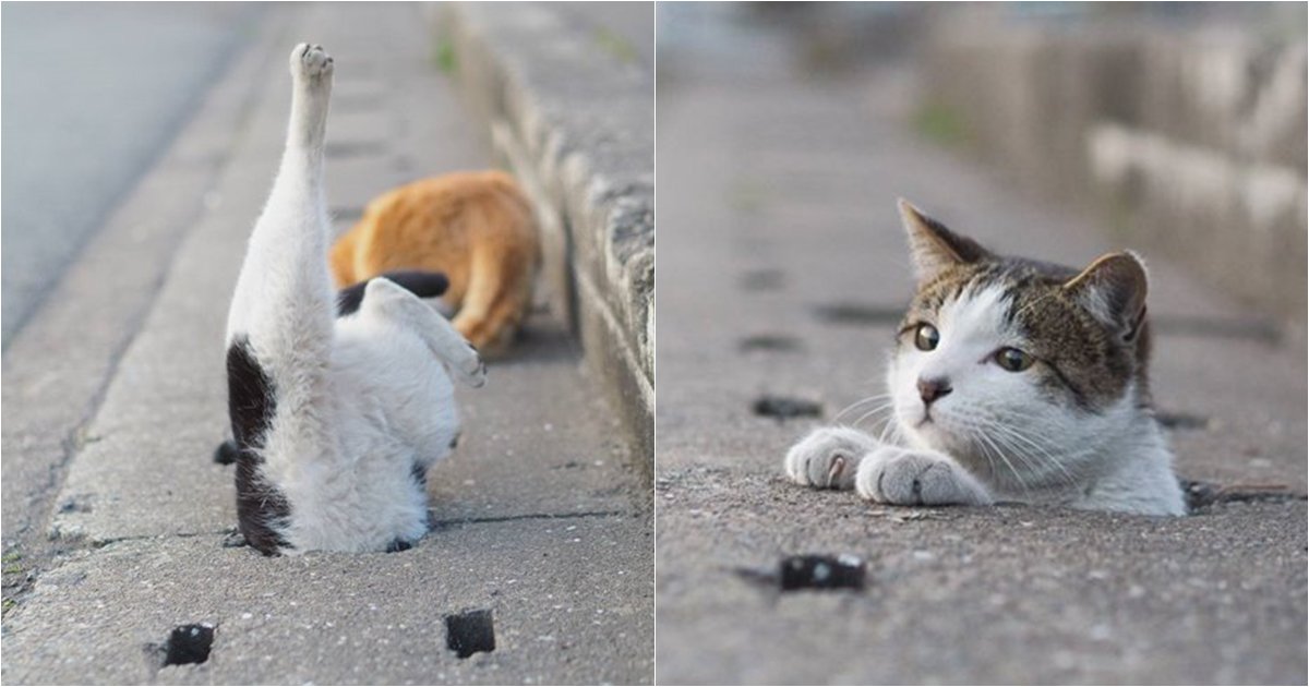 Superware (@Sup_ware) | Twitter