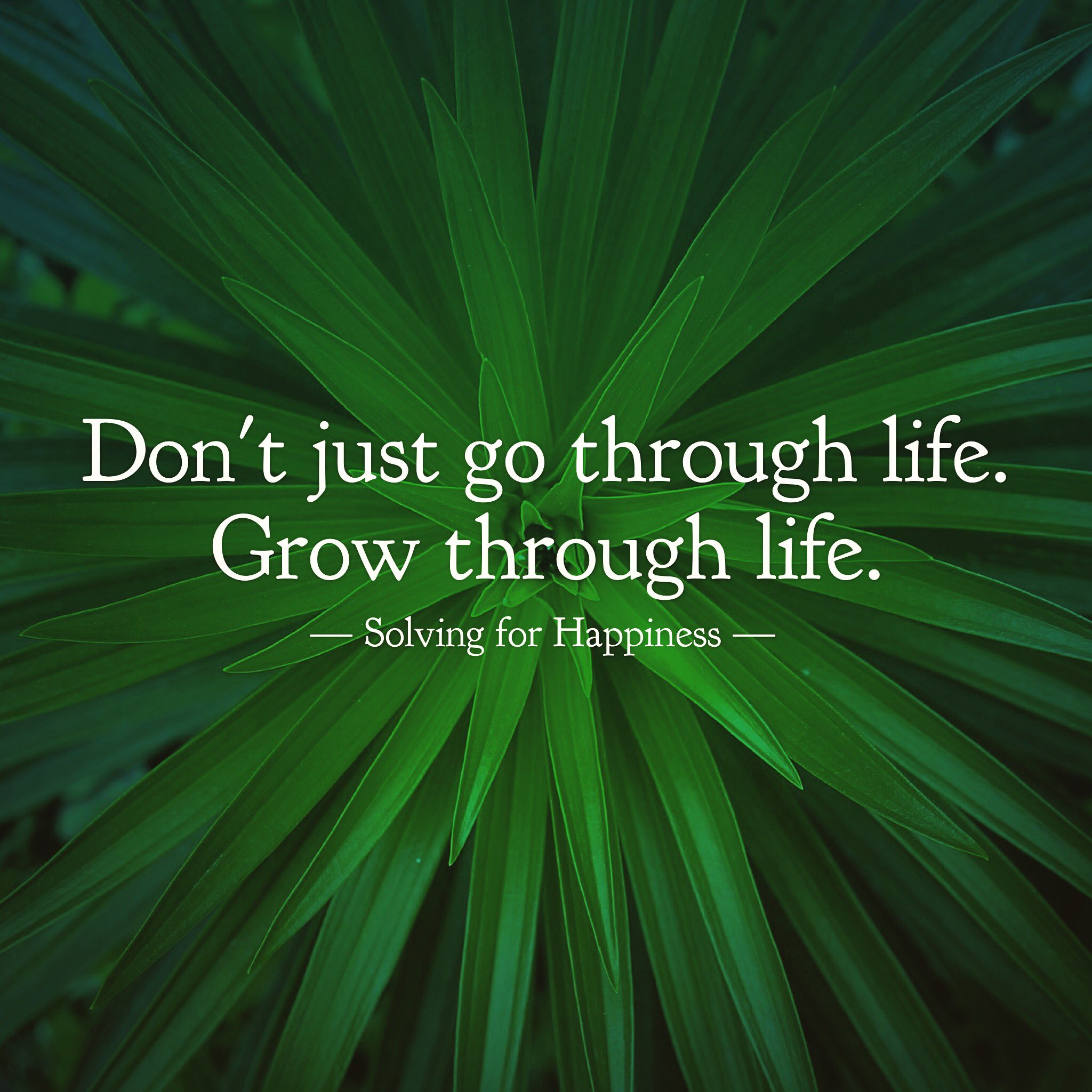 Grow Through Life Quotes Inspirational Motivational Quote Each Day