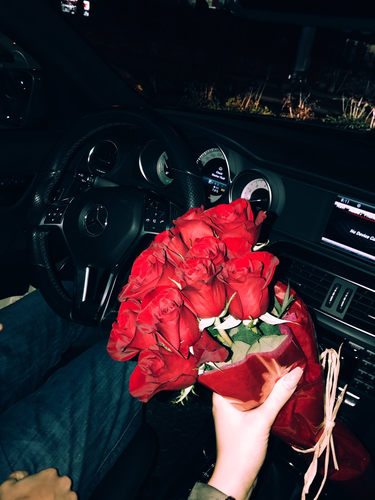 Tumblr Roses