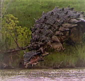 Jurassic Park 3 Ankylosaurus