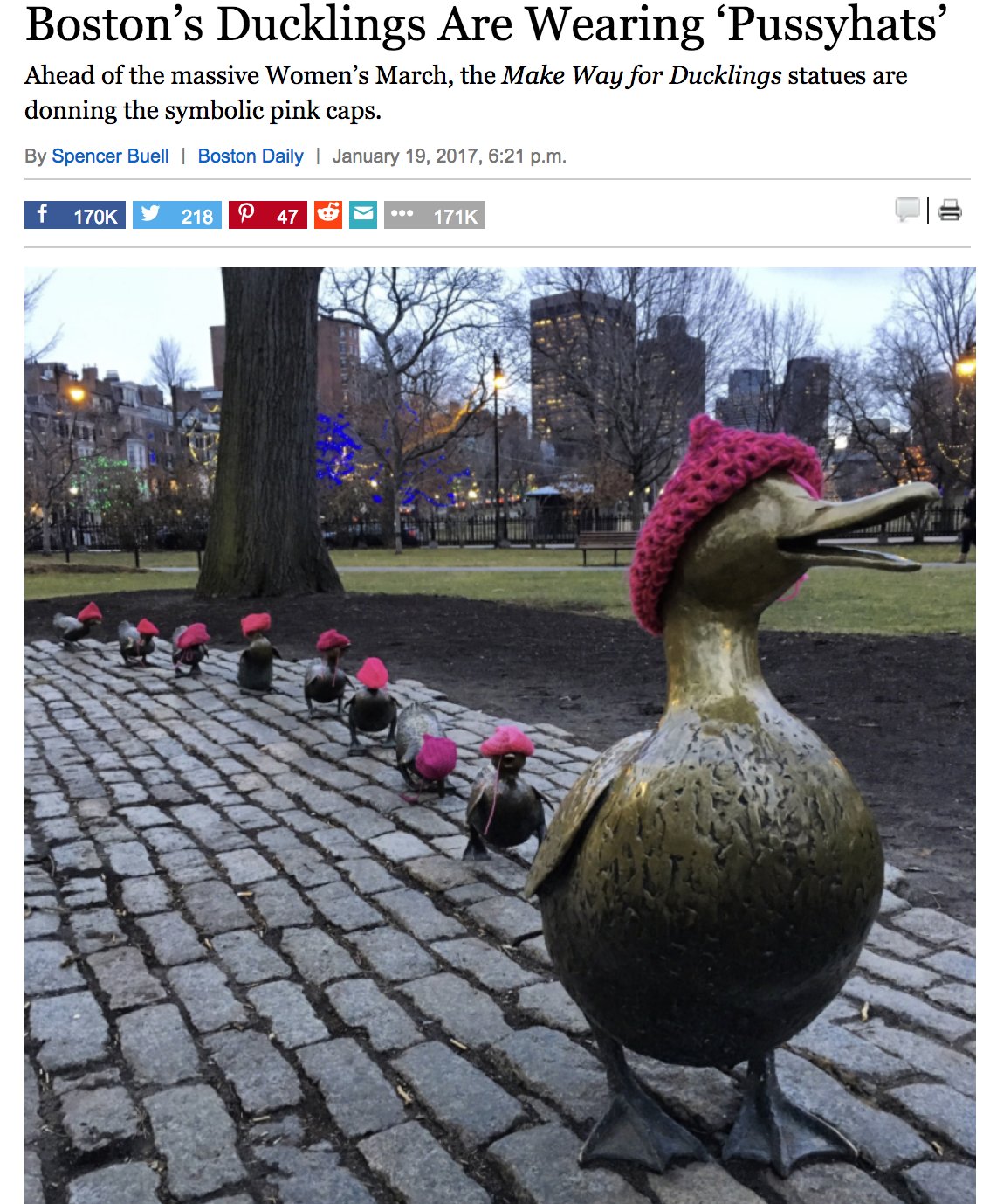 Mara Zepeda on Twitter: "The ducklings are wearing #pussyhats in Boston. #RESISTANCE is ...