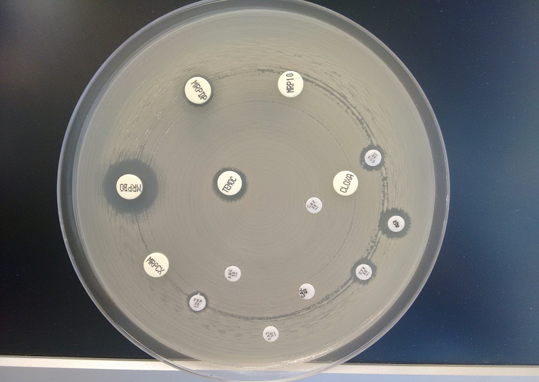 Alex Muntean (@alex_muntean) / Twitter