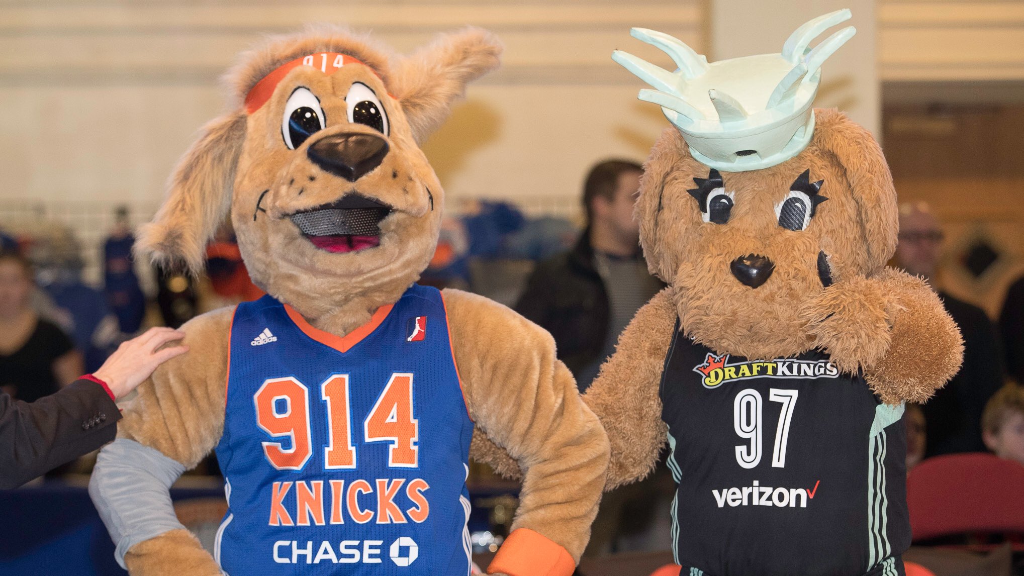 New York Knicks Mascot