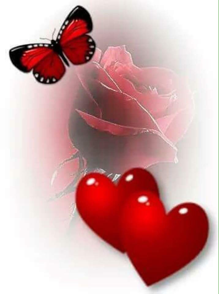 Devinder Grover (@GroverDevinder) | Twitter