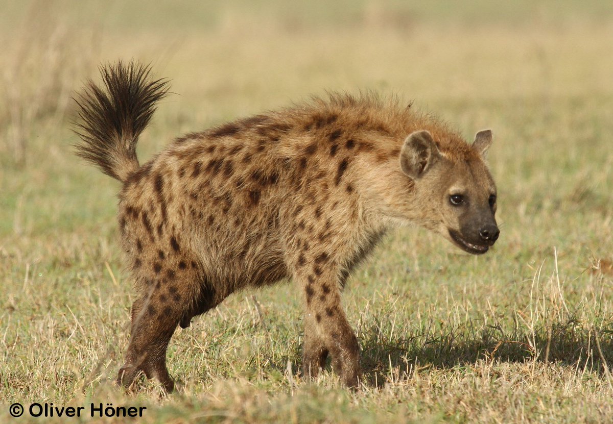 g4 :: Latest Updates