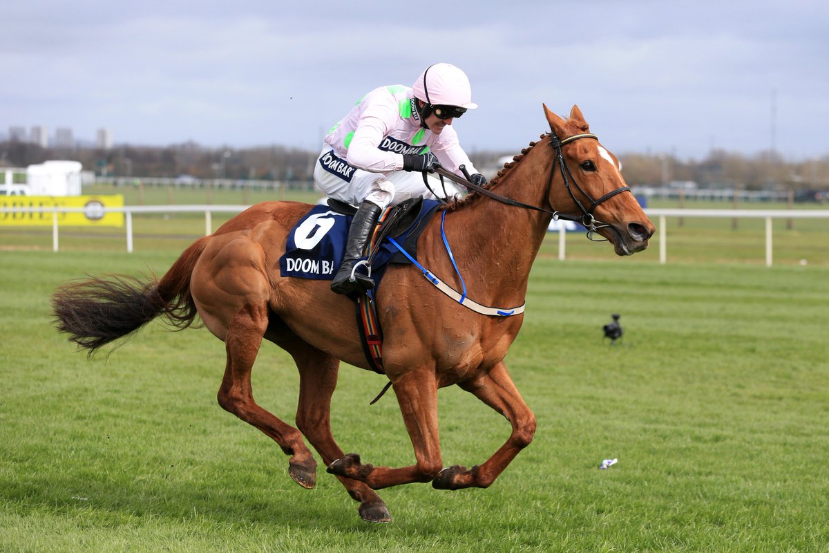 BREAKING: Annie Power has a leg injury and will miss the Cheltenham ...