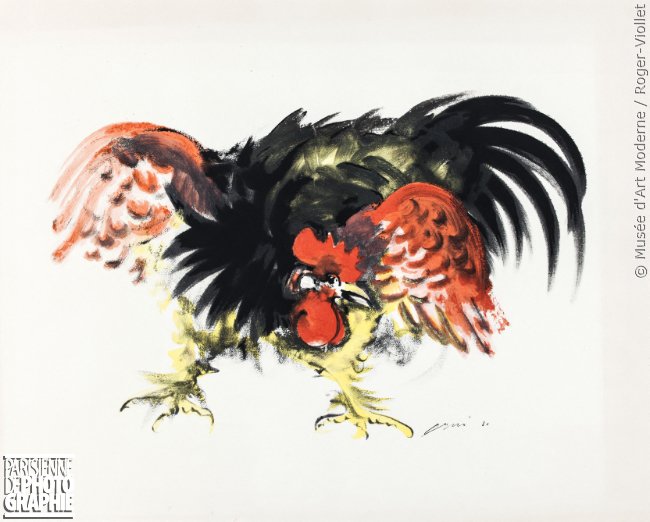 Raphaelle Noden (@RaphaelleNoden) | Twitter