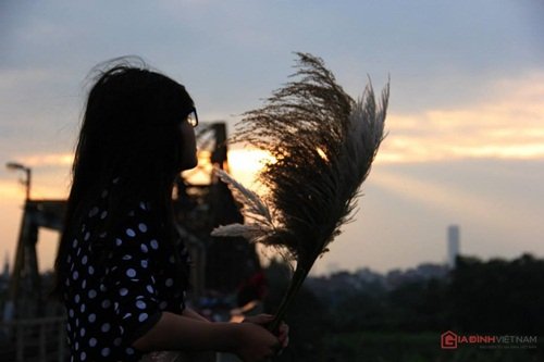 Delia C. Recinos (@itcongnghehot) | Twitter