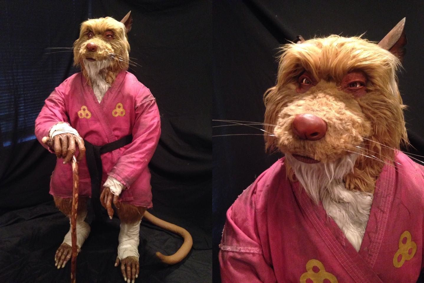 Master Splinter Costume