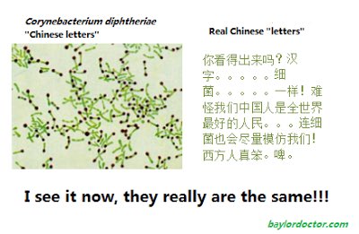 Corynebacterium Diphtheriae Chinese Letters