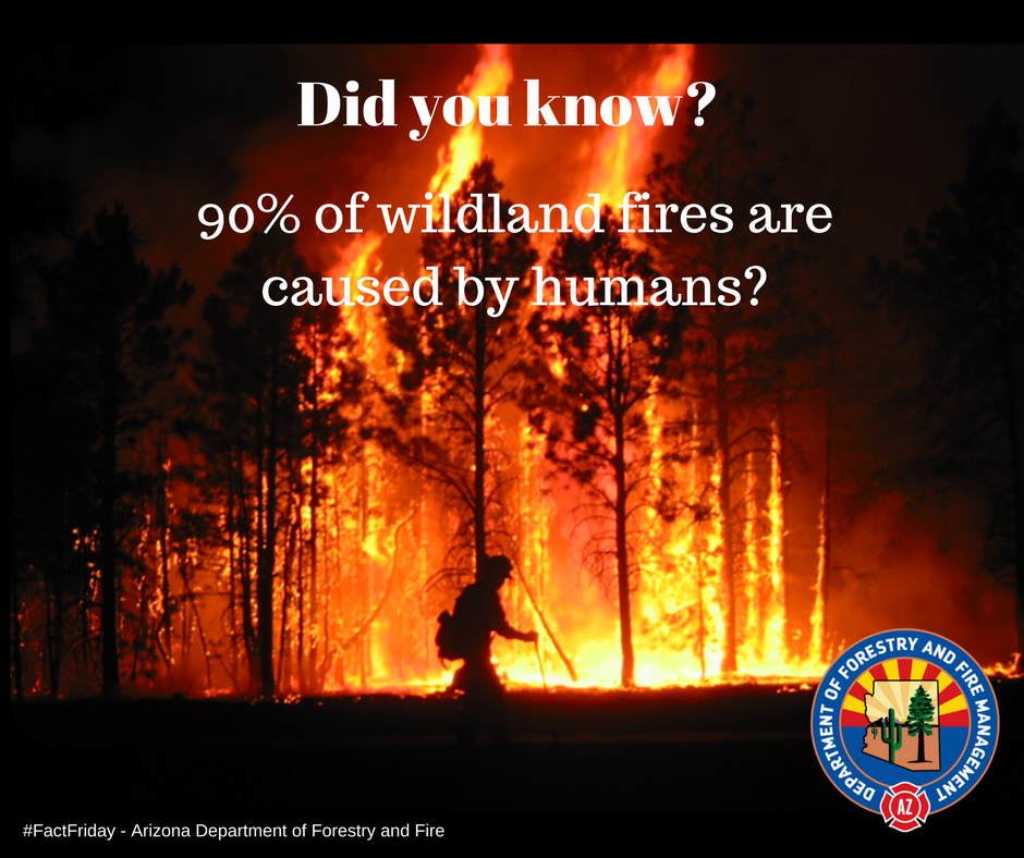 Forest Fire Prevention Quotes