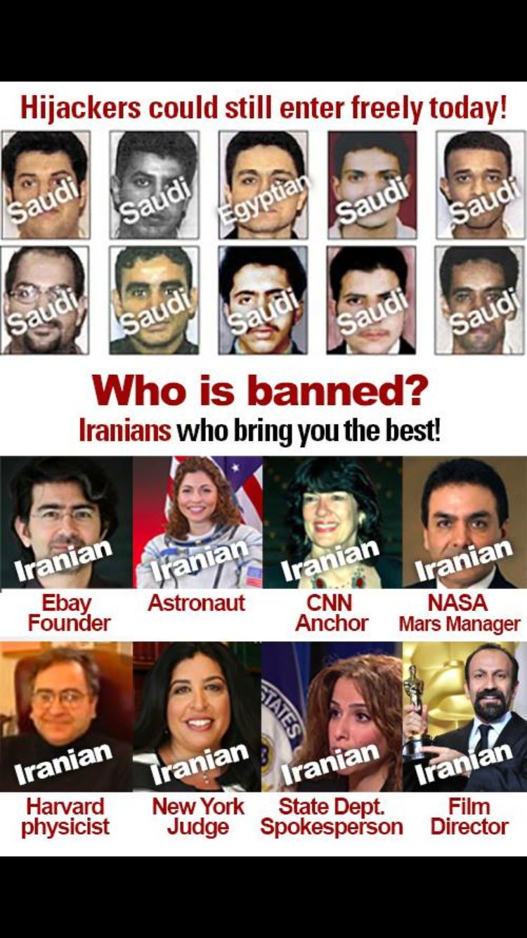 Persian Funny Memes Funny Cat Meme "Helping My Hooman Work From Home."