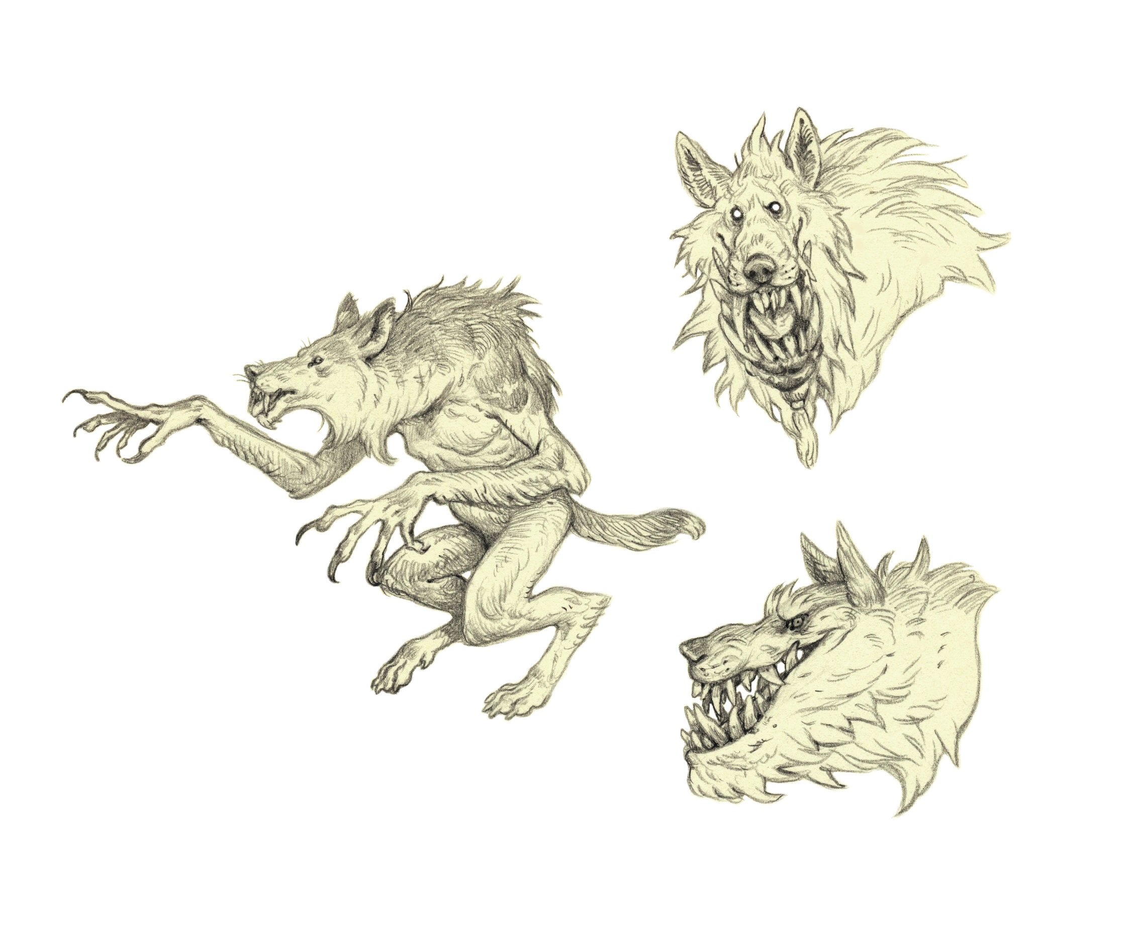 Mythical Creatures Werewolves Drawing