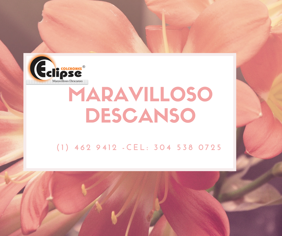 Colchones Eclipse (@Colchoneseclips) | Twitter