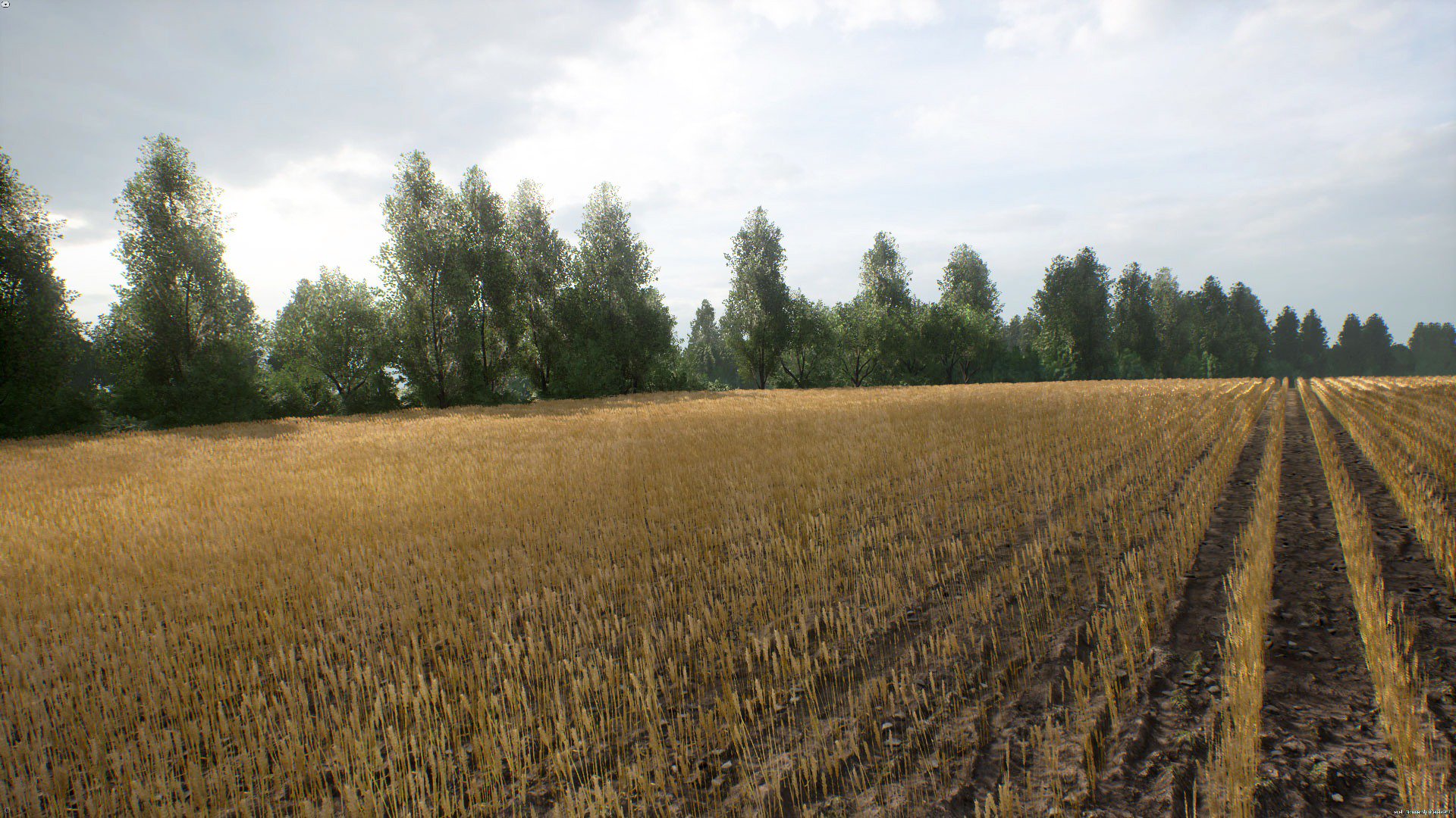 80 LEVEL on Twitter: "Achieving photo-realistic look in open world #environment with #UE4. No ...