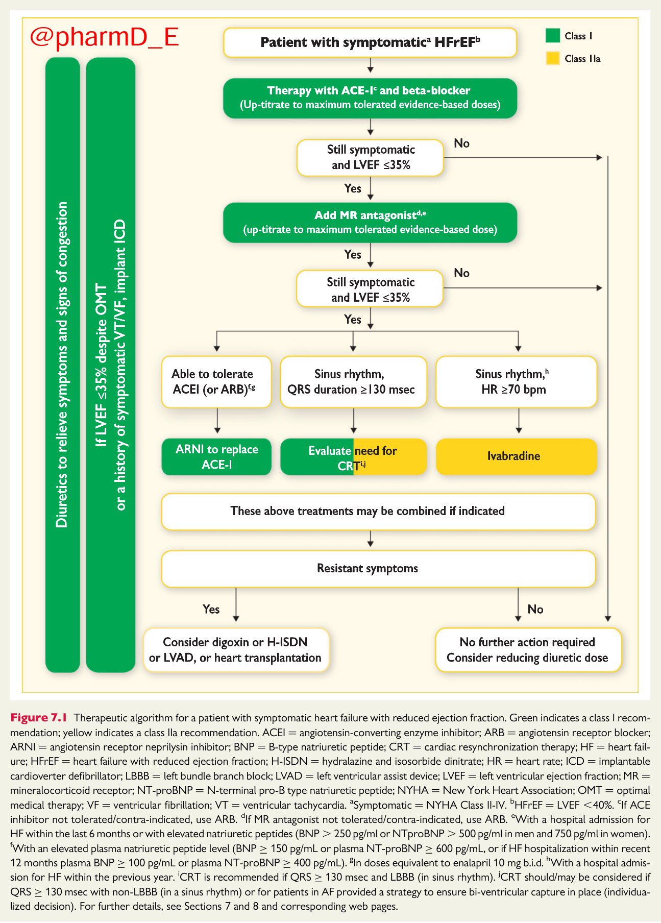 Escardio Guidelines Heart Failure