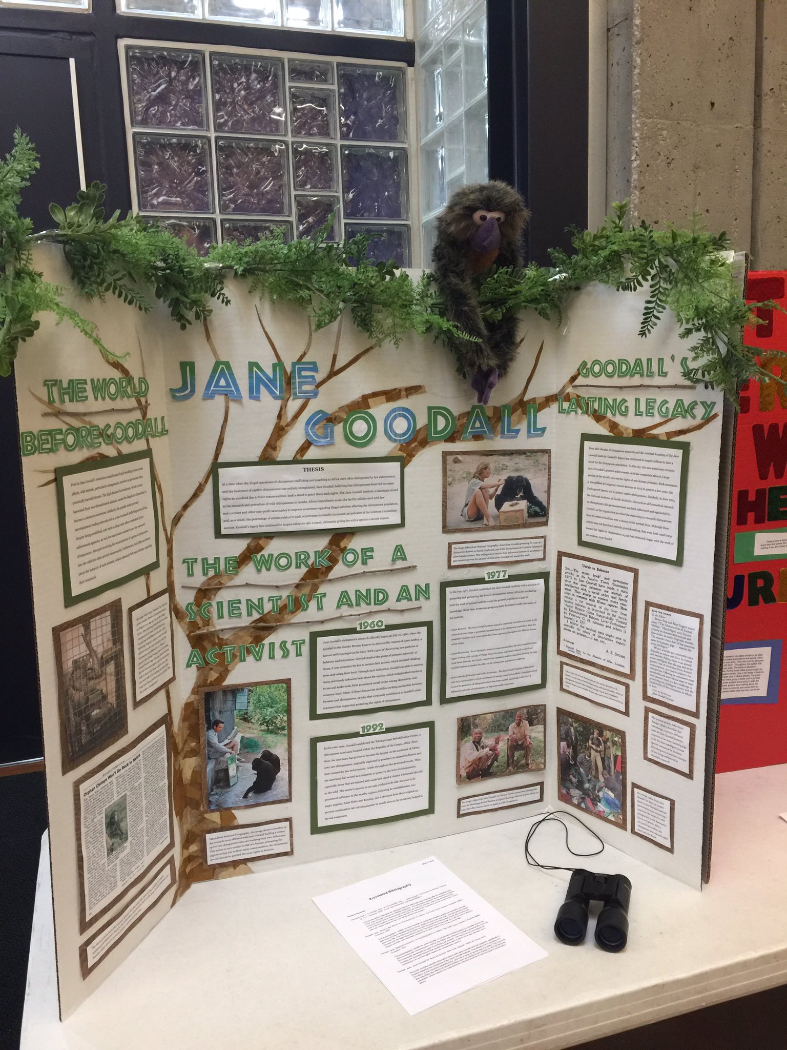 Creative History Project Ideas Close Up Bits And Pieces Of Women