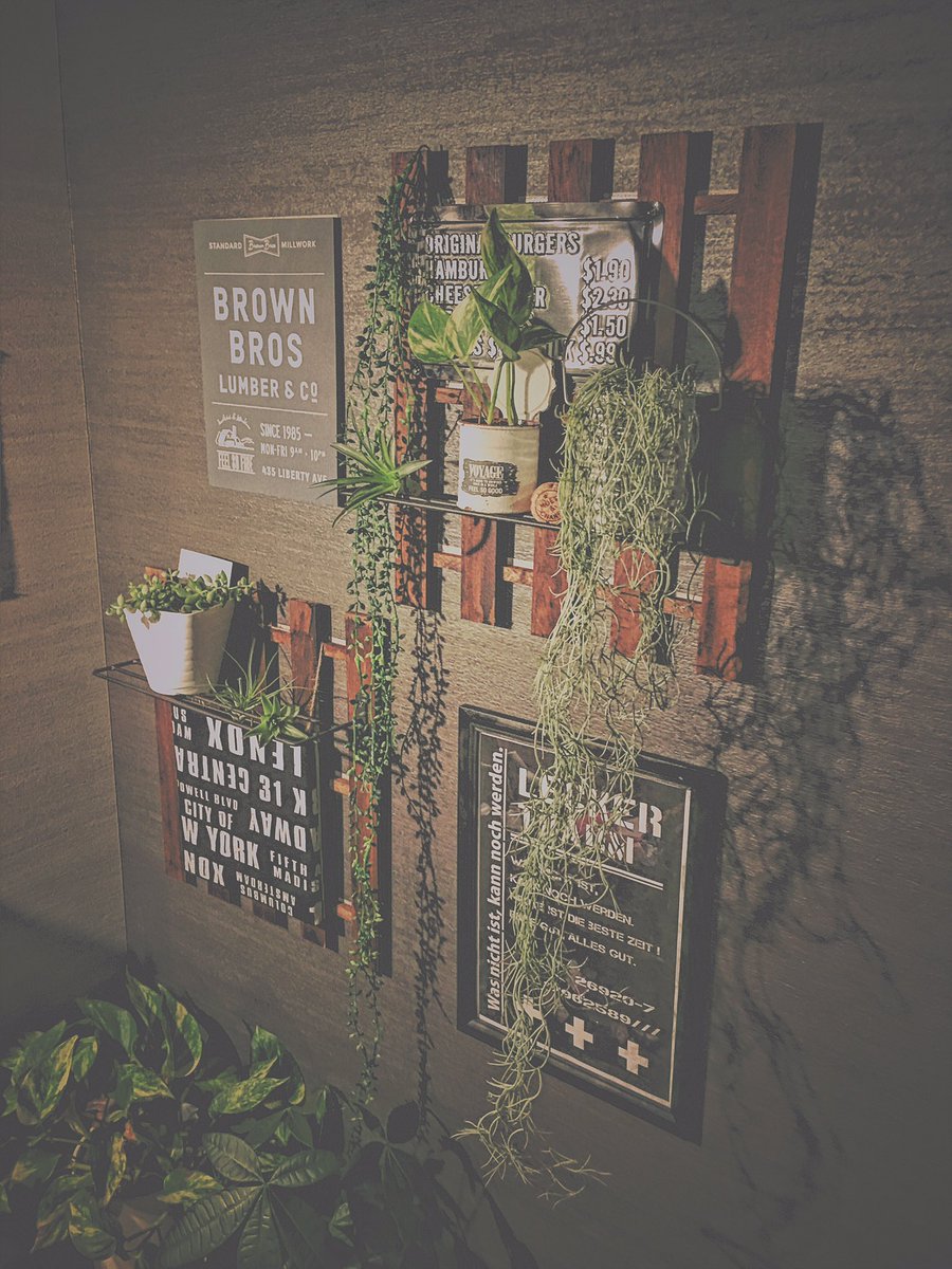 新作続々！100均の「造花・フェイクグリーン」まとめ｜ダイソー・セリアの造花・フェイクグリーン | Jocee@最新ニュース