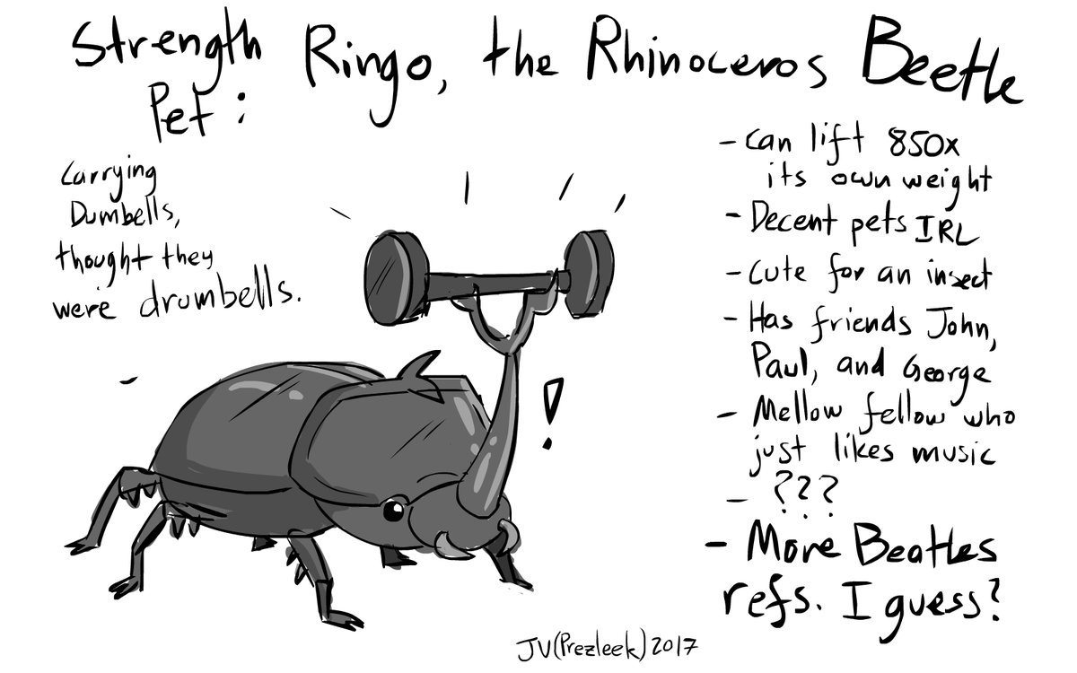 Rhinoceros Beetle Lifting