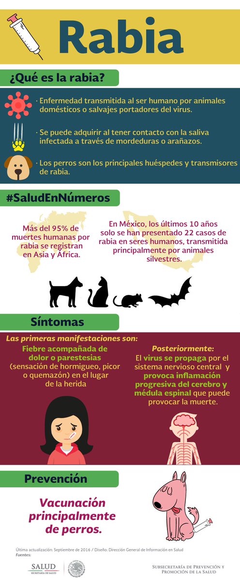 Rabia: enfermedad transmitida al ser humano por animales domésticos o ...