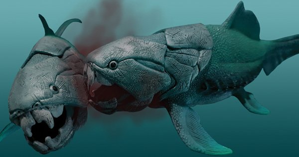 Placoderm Placoderm Bones/armour? Fossil ID The Fossil Forum