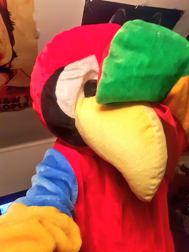 Polly Parrot (@Polly___Parrot) | Twitter