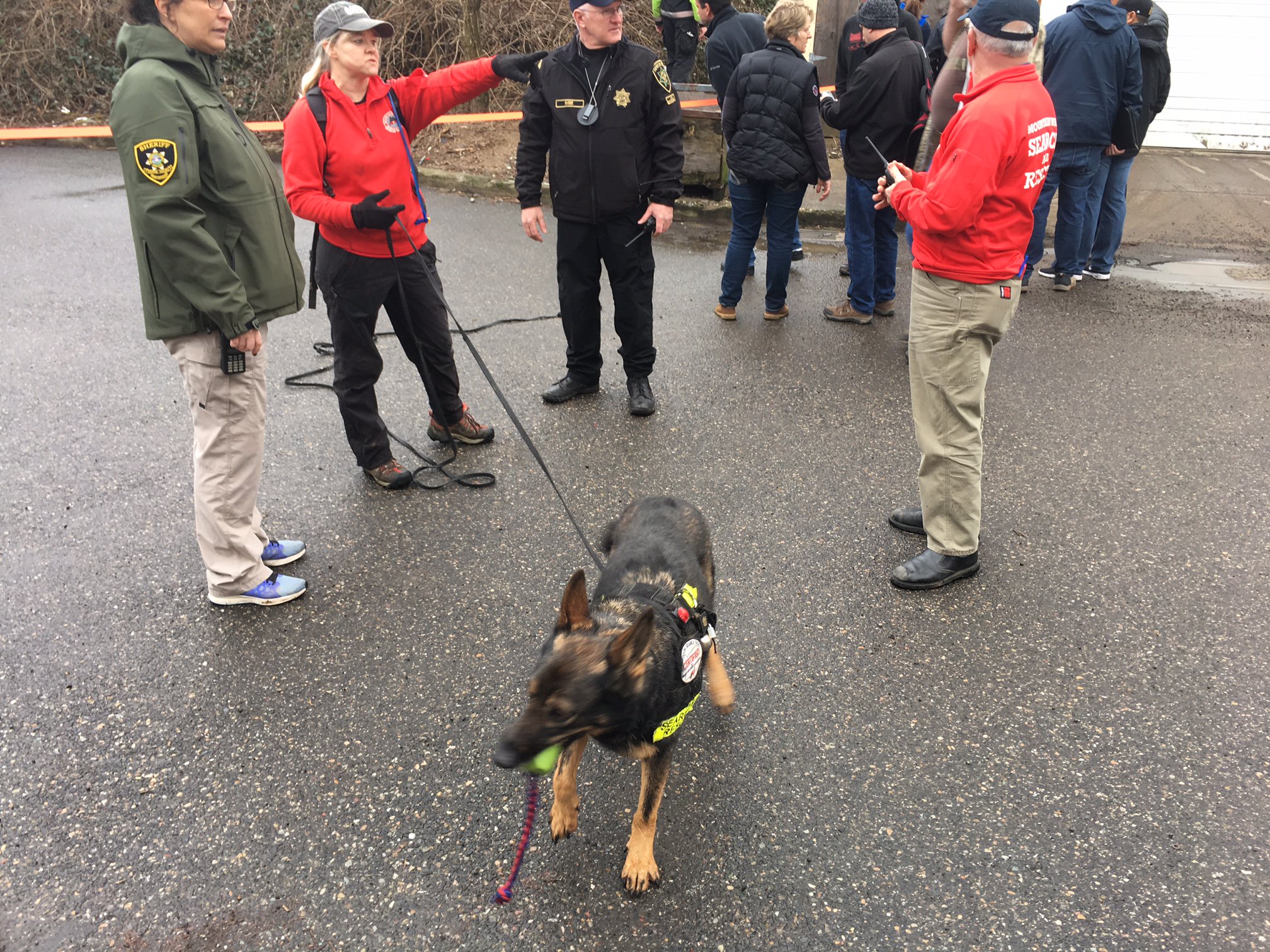 Cait McCready (@caitlinmccready) / Twitter