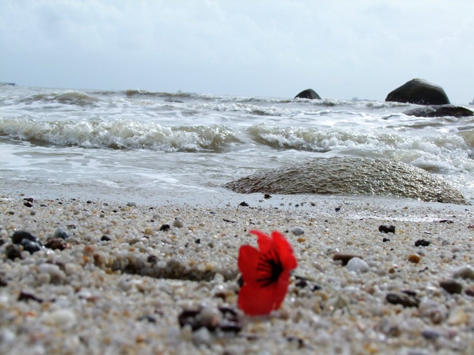 Bangka Island Massacre : Latest News, Breaking News Headlines | Scoopnest